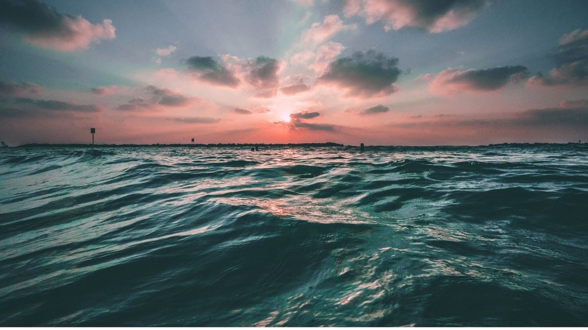 AI of Things(I): Multiplicando el valor de las cosas conectadas