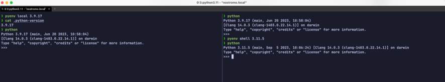 The ironic state of dependency management in Python (I) The ironic state of dependency management in Python (I)