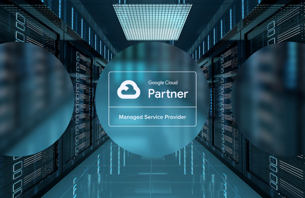 Innovation and Specialization in the Cloud with Google's MSP Program